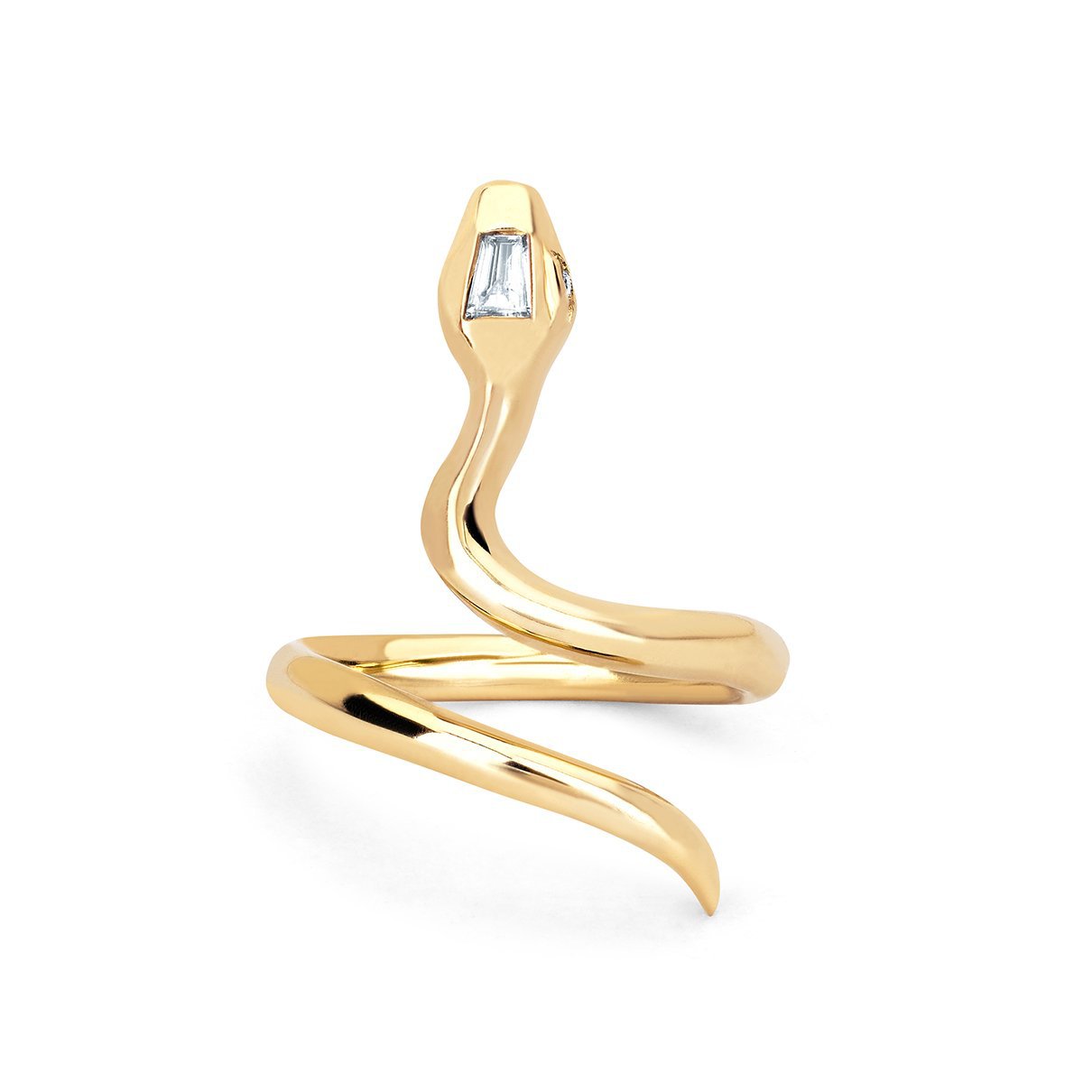 Kundalini Shakti Ring – Logan Hollowell